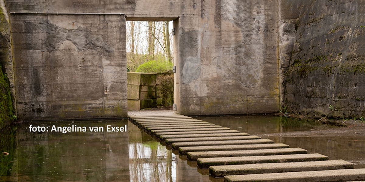 Minimalisme bij Foto Expo 2024 van Chaamse Fotoclub | Cool 220